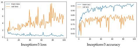 Electronics Free Full Text Detection And Classification Of Tomato Crop Disease Using