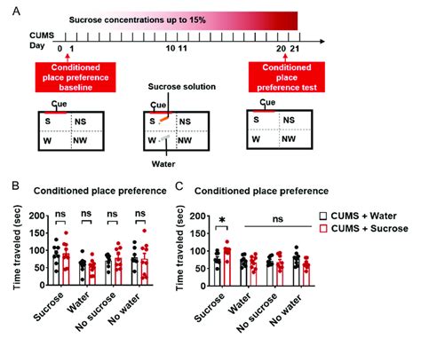 Sucrose Solution Induced Conditioned Place Preference A Schematic Download Scientific
