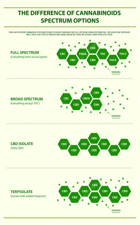 약초 대체 의학 및 화학 요법으로 대마초에 대한 칸나비노이드 스펙트럼 옵션 수직 인포 그래픽 그림의 차이점 템플릿 PSD 다운로드 디자인 자료 다운로드