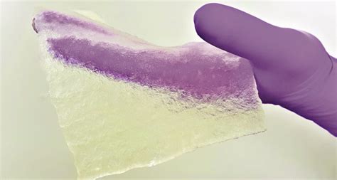 What Is Bioactive Microfibre Gelling Technology Maxiocel