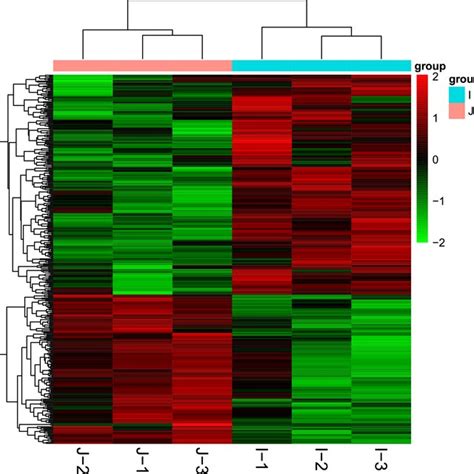 Heatmap Clustering Of Differentially Expressed Genes Degs From The