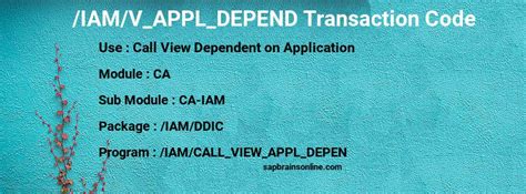 IAM V APPL DEPEND SAP Tcode For Call View Dependent On Application