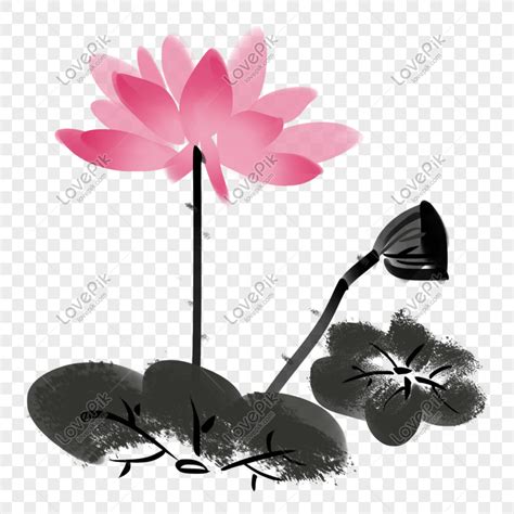 손으로 그려진 된 잉크 로터스 그림 Png 일러스트 무료 다운로드 Lovepik
