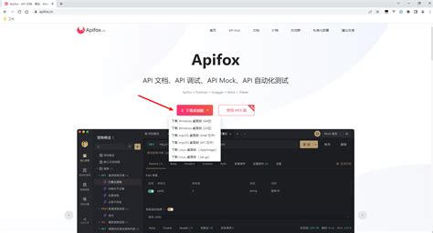 Apifox 使用教程实例apifox如何使用样例数据 Csdn博客