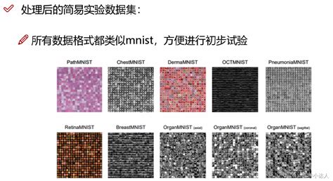 Python Resnet实例，残差网络医学分类，基于resnet医学图像分类任务；医学图像处理实战resnet医学图像分类源码 Csdn博客