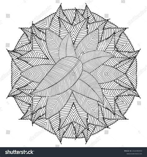89 Symmetry Respect Line Images Stock Photos Vectors Shutterstock