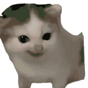 Cat Meme Sticker Cat Meme Descubre Y Comparte 