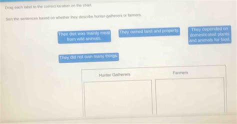 Solved Drag Each Label To The Correct Location On The Chart Sort The Sentences Based On