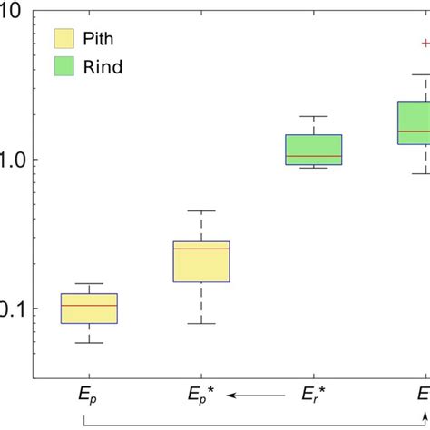 Modulus Of Elasticity Values For Fully Turgid Rind And Pith Tissues Download Scientific