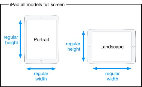 A Size Class Reference Guide