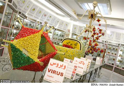 ایسنا موزه علم و طبیعت دانشگاه شهید چمران اهواز