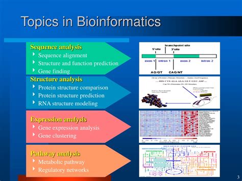 PPT Bioinformatics Sequence Structure And Function Analysis PowerPoint Presentation ID