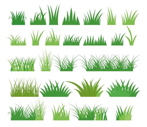 Set Of Green Grass Illustration Vector On White Background Grass Clip