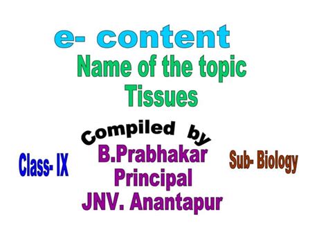 Plant Tissues 9 Cbse Pptx Plant Tissues 9 Cbse Pptx