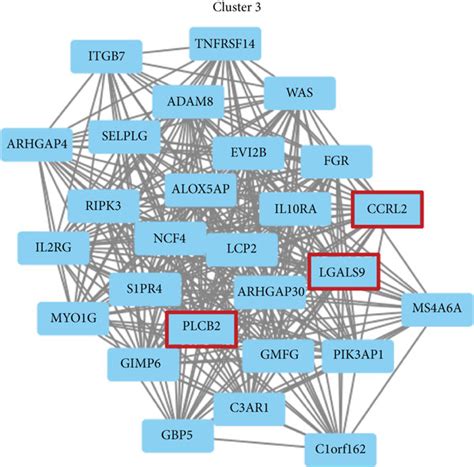 the ppi network and clusters analysis of set1 and set2 a the cluster