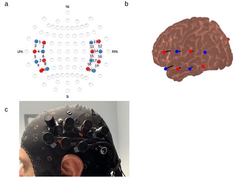 Schematic Description Of Nirx Nirscout 816 Nirs Machine Download Scientific Diagram