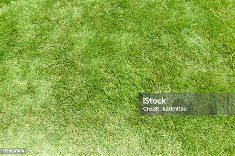 녹색 잔디 텍스처 배경 녹색 잔디 잔디 질감 공원 잔디 질감입니다 0명에 대한 스톡 사진 및 기타 이미지 0명 경기장 공원 Istock