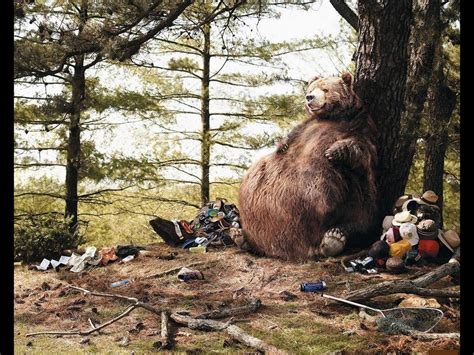 Скачать прикольные обои для рабочего стола картинки