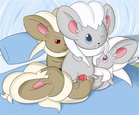 Rule 34 Chinchilla Cinccino Foursome Fur Furry Group Sex Pokémon