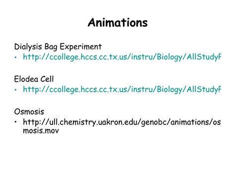 Ppt Diffusion And Osmosis PPT