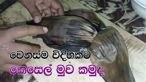 ගින්දරෙන් පුච්චපු කෙසෙල් මුව සම්බෝලය Banana Flower Recipe Keselmuwa Youtube