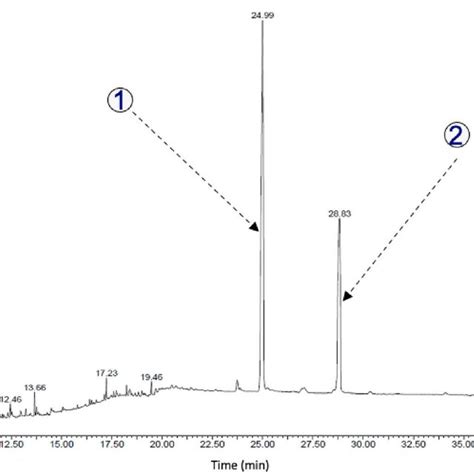A High Resolution Gc Ms Chromatographic Profile Of The Droplets Download Scientific Diagram