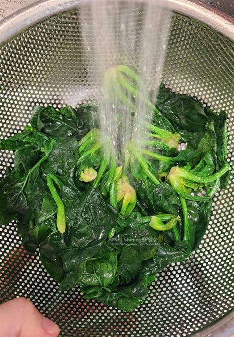 시금치 데치기 손질 시금치요리 시금치무침 시금치나물무침 반찬 레시피