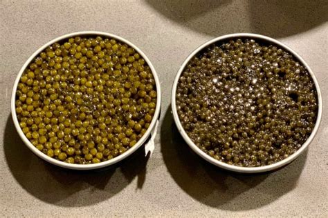 Expensive Food Guide For 2025 Cozymeal