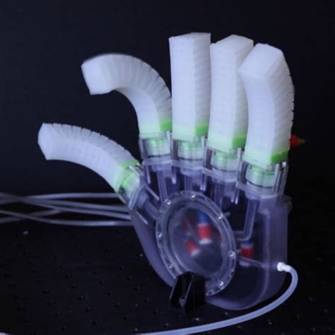 Early Career Award For Pioneering Research On Soft Robotics