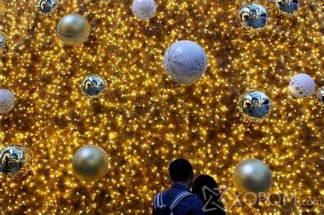 Шинэ жилийн баярын билэг тэмдэг Зул сарын гацуур модод [28 зураг]