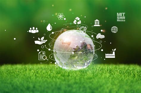 Definición De Sustentabilidad Y Su Importancia En El Medio Ambiente