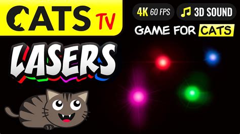 cat tv best real laser pointer 🔴 for cats to play 😻 4k 60fps 🙀