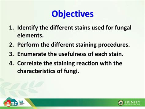 Solution Microbiology Different Stains Studypool