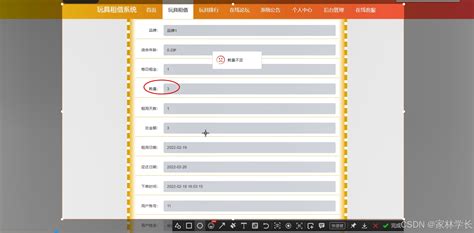 Java计算机毕业设计玩具租借系统（开题程序论文） Csdn博客