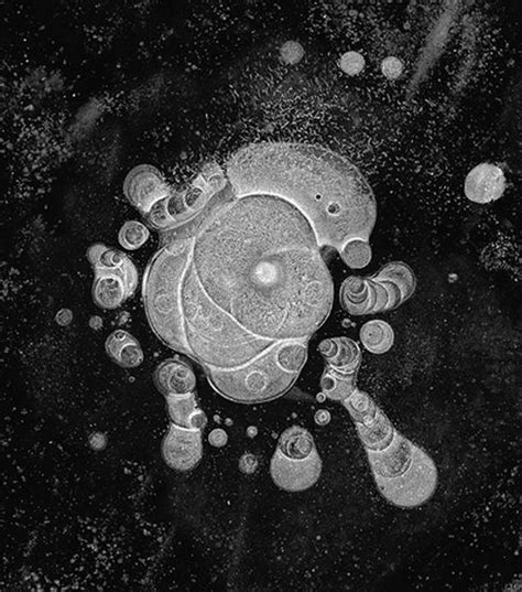 Douglas Capron Capron Abstract Photography Darkroom