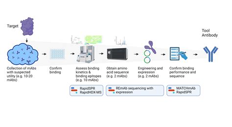 Proteomics Applications For Target Validation Rapid Novor