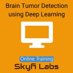 Brain Tumor Detection Using Deep Learning Online Live Course