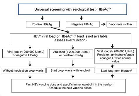 Vertical Transmission Of Hepatitis B At James Mcewen Blog