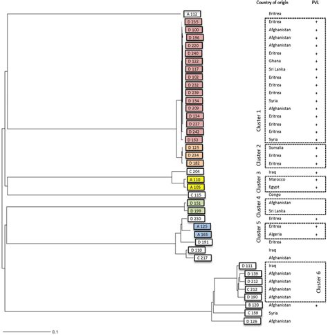 Phylogeny Using Whole Genome Sequencing Data Of Mrsa Isolates Centres Download Scientific