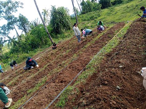 Agrarian Reform Coop Members In Agusan Norte Learn Better Farming