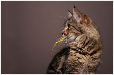 Nicole Dickmann Fotos And Bilder Fotografin Aus Essen Deutschland