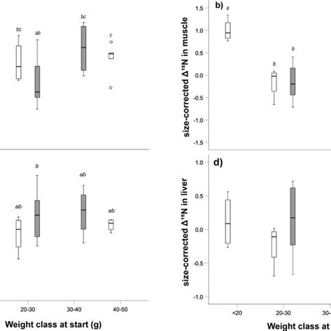 Standard Metabolic Rate Smr Of Different Weight Classes In Perch