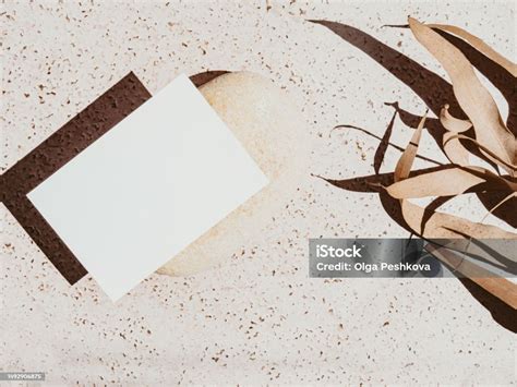 돌 위에 하얀 빈 카드 회색 콘크리트 배경에 그림자가 있는 마른 꽃 0명에 대한 스톡 사진 및 기타 이미지 0명 감사합니다 건조한 Istock