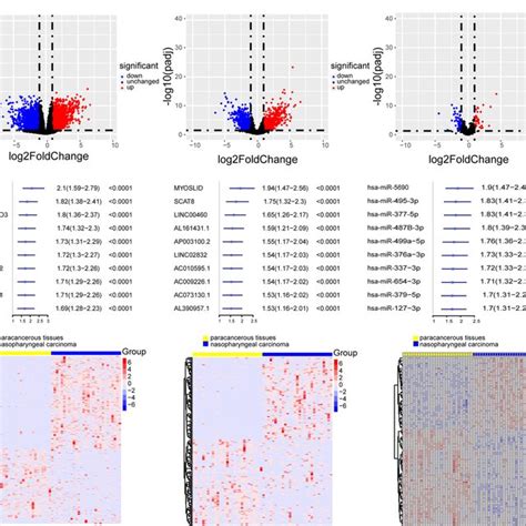 The Results Of Univariate Cox And Differential Expression Analysis Of