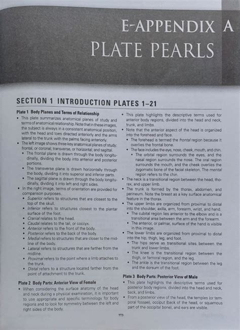 خرید کتاب اطلس آناتومی نتر ویرایش هشتم 2023 گلاسه Atlas Of Human Anatomy Netter کتابفروشی