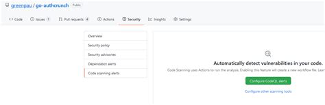 No Scan Results · Issue 8764 · Githubcodeql · Github