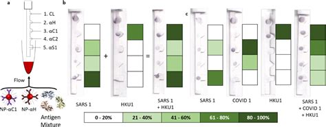 Table 1 From Developing A Paper Based Antigen Assay To Differentiate
