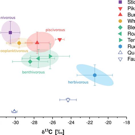 δ¹⁵n Versus δ¹³c Bi Plot Showing The Mean Isotope Values Of Aquatic