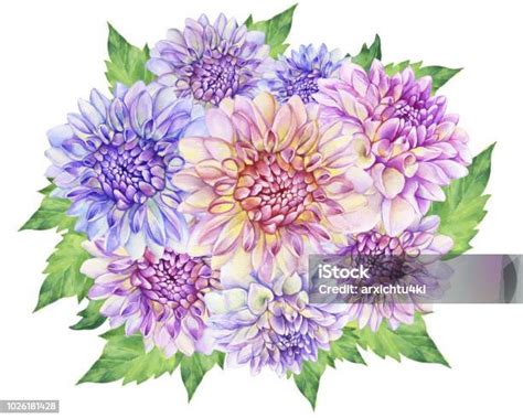 달리아 꽃으로 꽃다발입니다 근접 촬영 달리아 꽃입니다 결혼식 초대 발렌타인의 날 어머니의 날 수채화 손으로 그린 그림을 흰색 배경에 고립 된 그림 0명에 대한 스톡 벡터