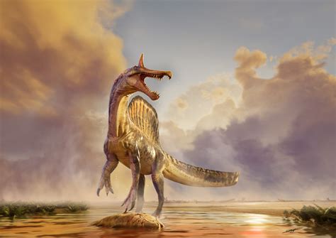 New Spinosaurus Species Discovered In Niger Sci News